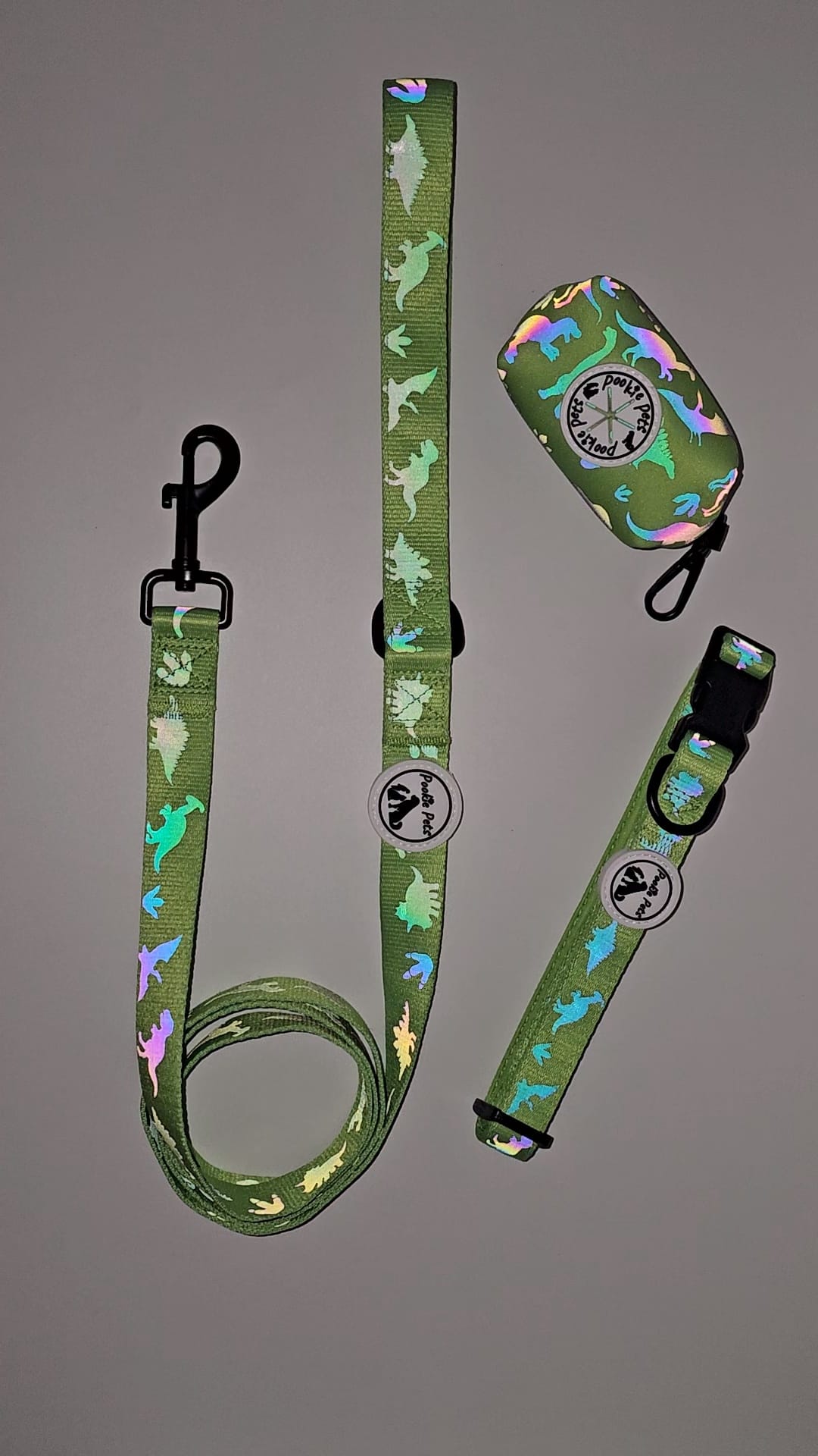 Reflective Leash with Dinosaurs Design | Pookie Pets